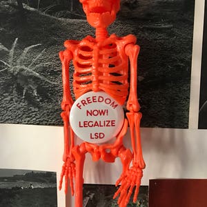 Freedom Now Legalize LSD 2.25 Inch Pin, Magnet - Etsy