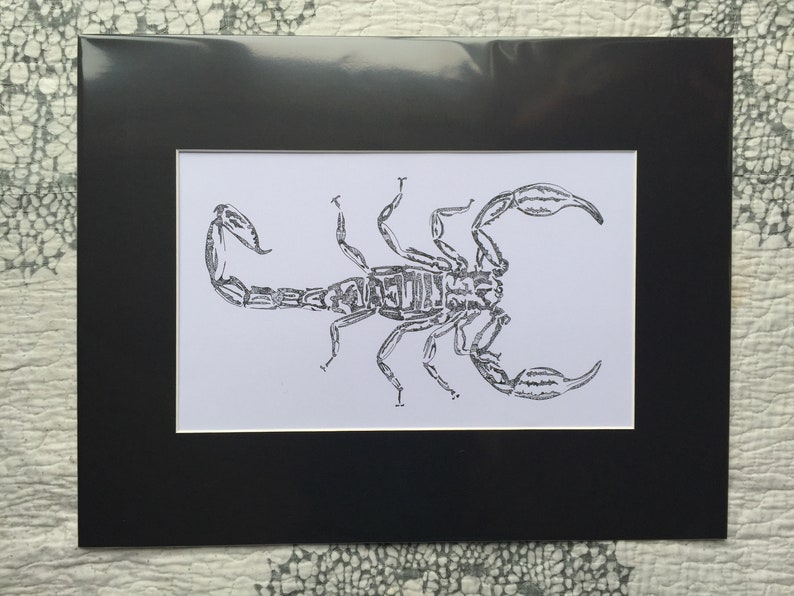 Scorpion Image Pen & Ink Drawing - Etsy