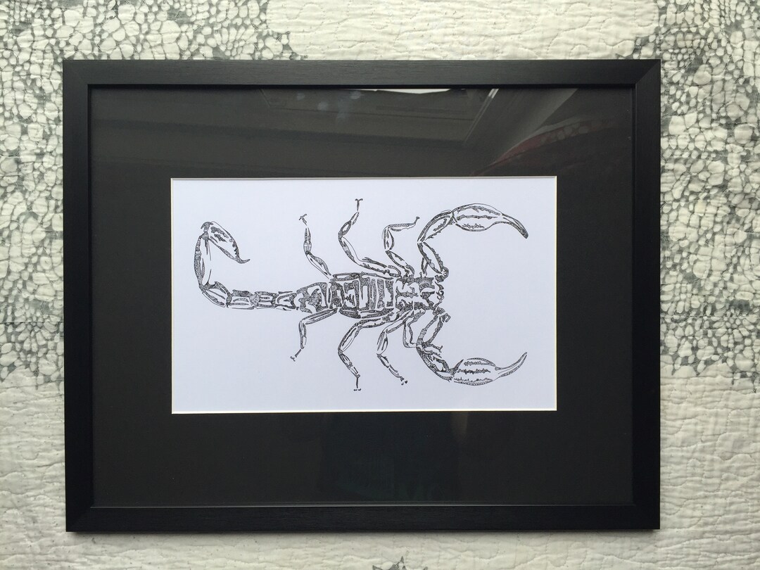 Scorpion Image Pen & Ink Drawing - Etsy