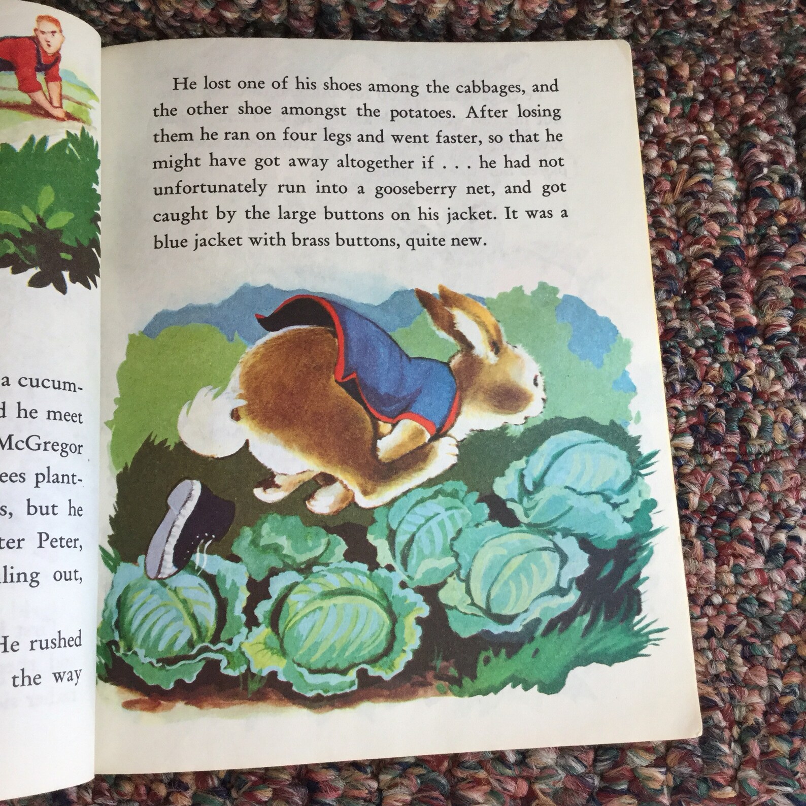 Vintage Peter Rabbit Book Beatrix Potter Book Tale of - Etsy