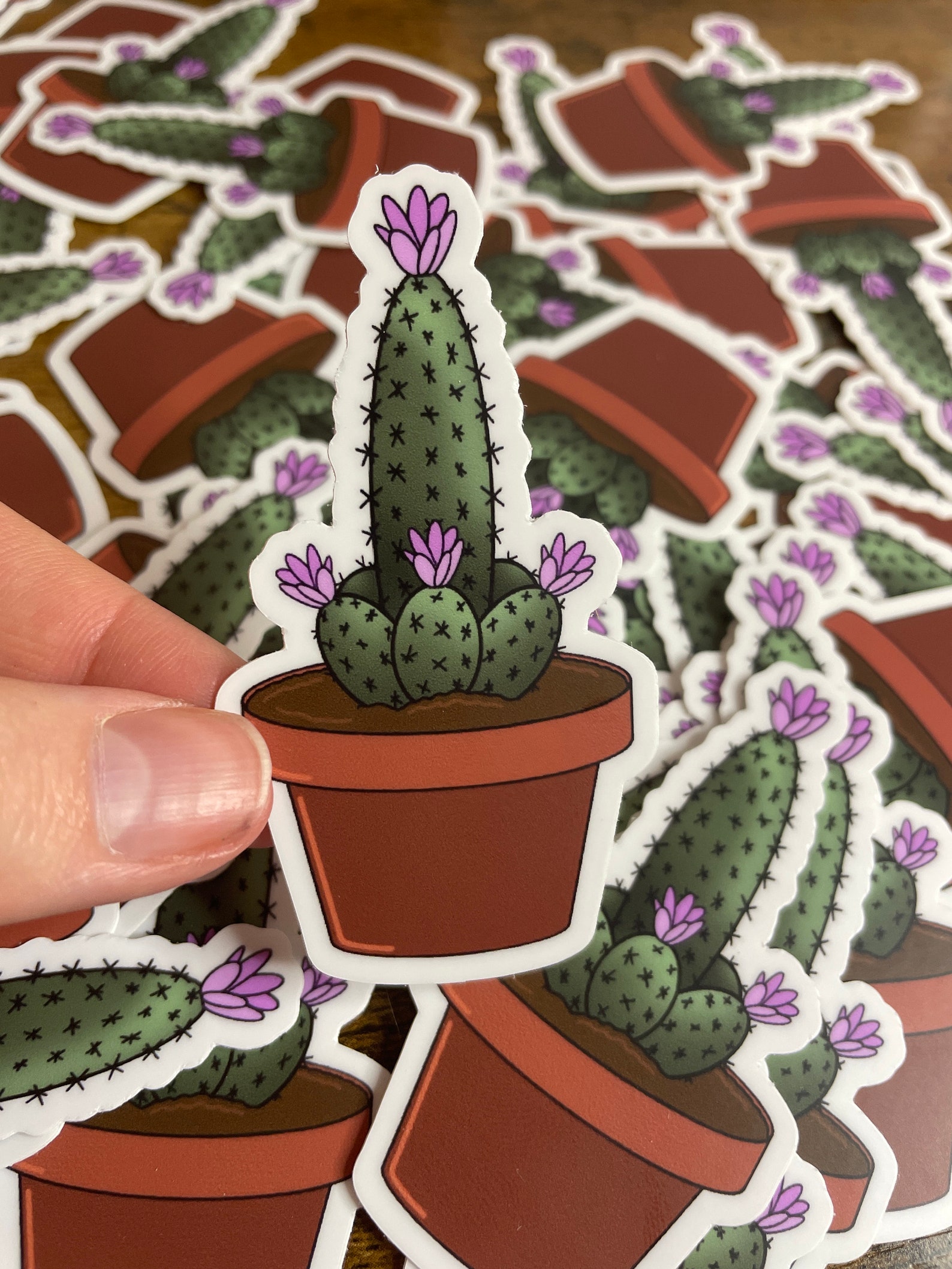 Blooming Cactus Sticker - Etsy