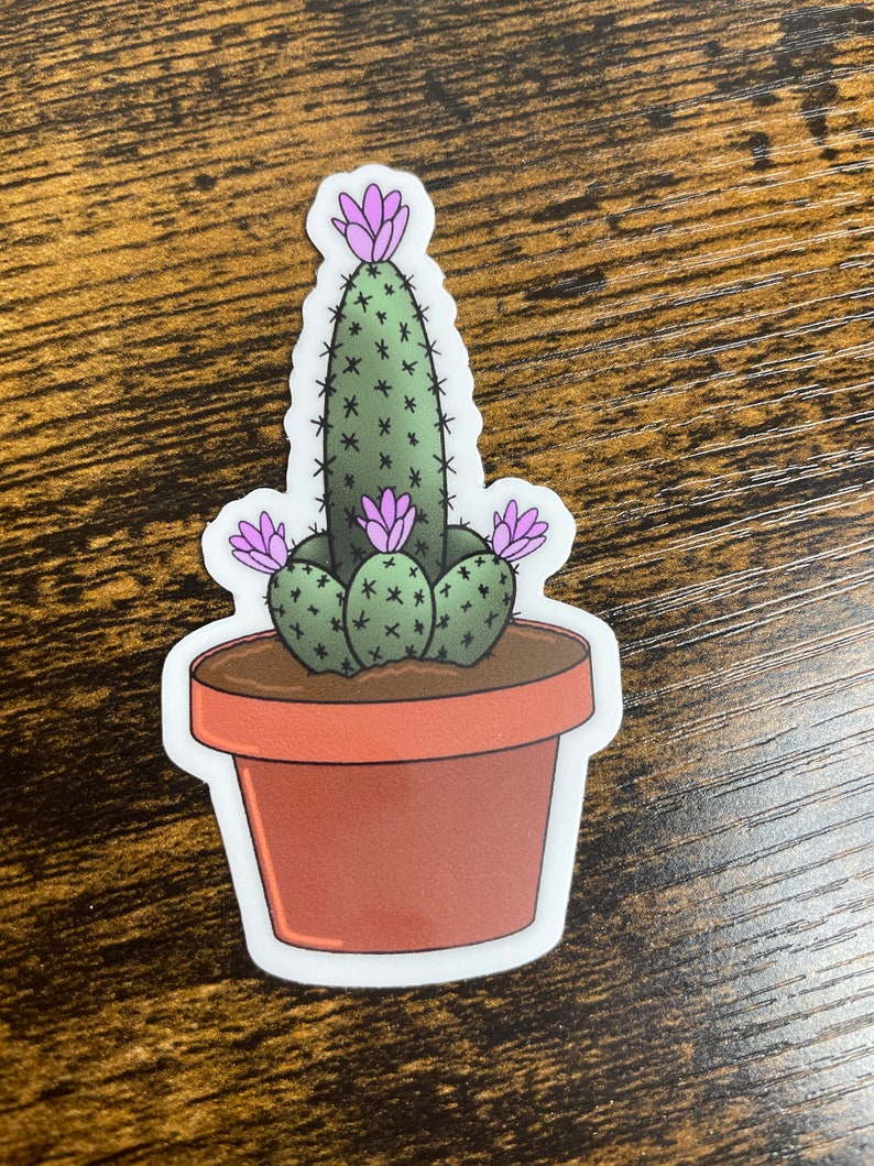 Blooming Cactus Sticker - Etsy