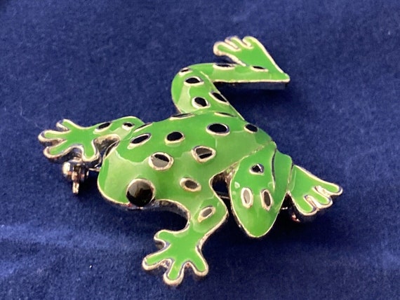 Black Frog Pin