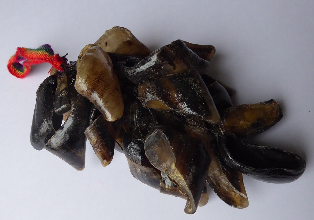 Peruvian Ceremonial Instrument - Chajchas - Etsy