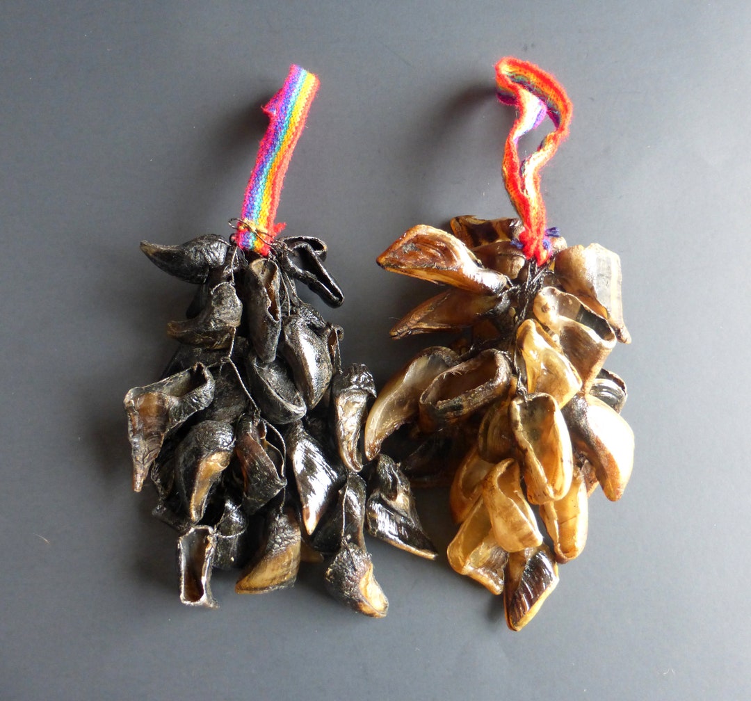 Two Peruvian Ceremonial Instrument Chajchas - Etsy