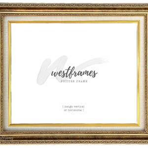 Antique Gold Ornate Picture Frame Natural Linen Liner 3", Canvas Photo ...