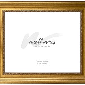 West Frames Stella Modern Vintage Ornate Gold Finish Wall Picture Frame ...