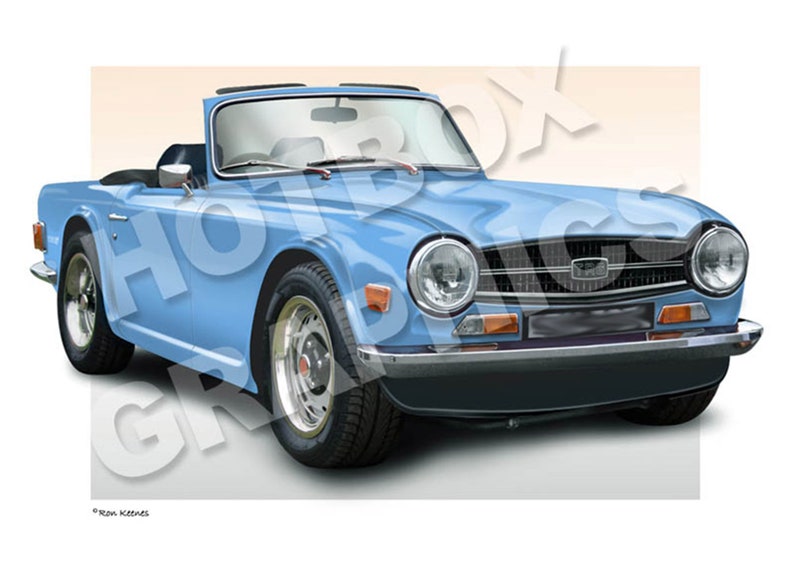 Personalised Illustration of Your Triumph TR6 - Etsy