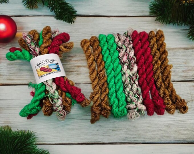 Bag-o-day Hand Dyed Yarn - "deconstructed Gingerbread Man" 10-micro ...