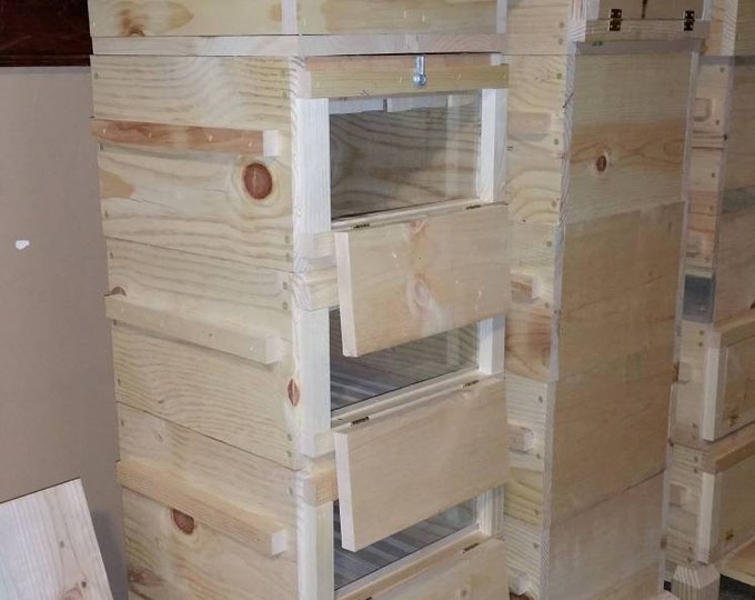 Observation Beehive | Honeybee Educational Hive | Made in the USA - Etsy