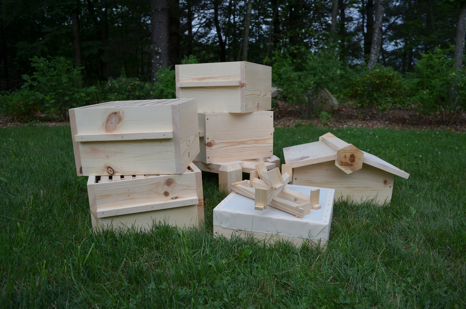Starter Warre Hive 2 Boxes Fully Assembled With or Without - Etsy