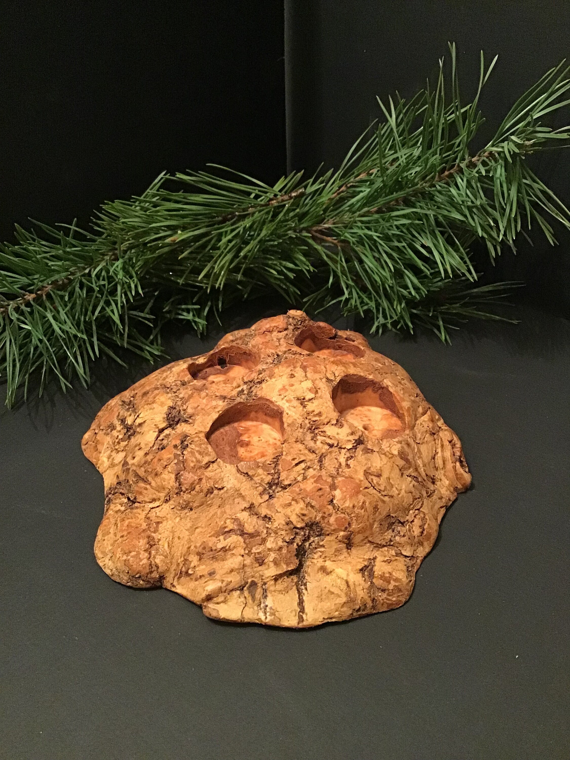 Essential Oils Stand Essential Oil Display Pine Burl Stand - Etsy