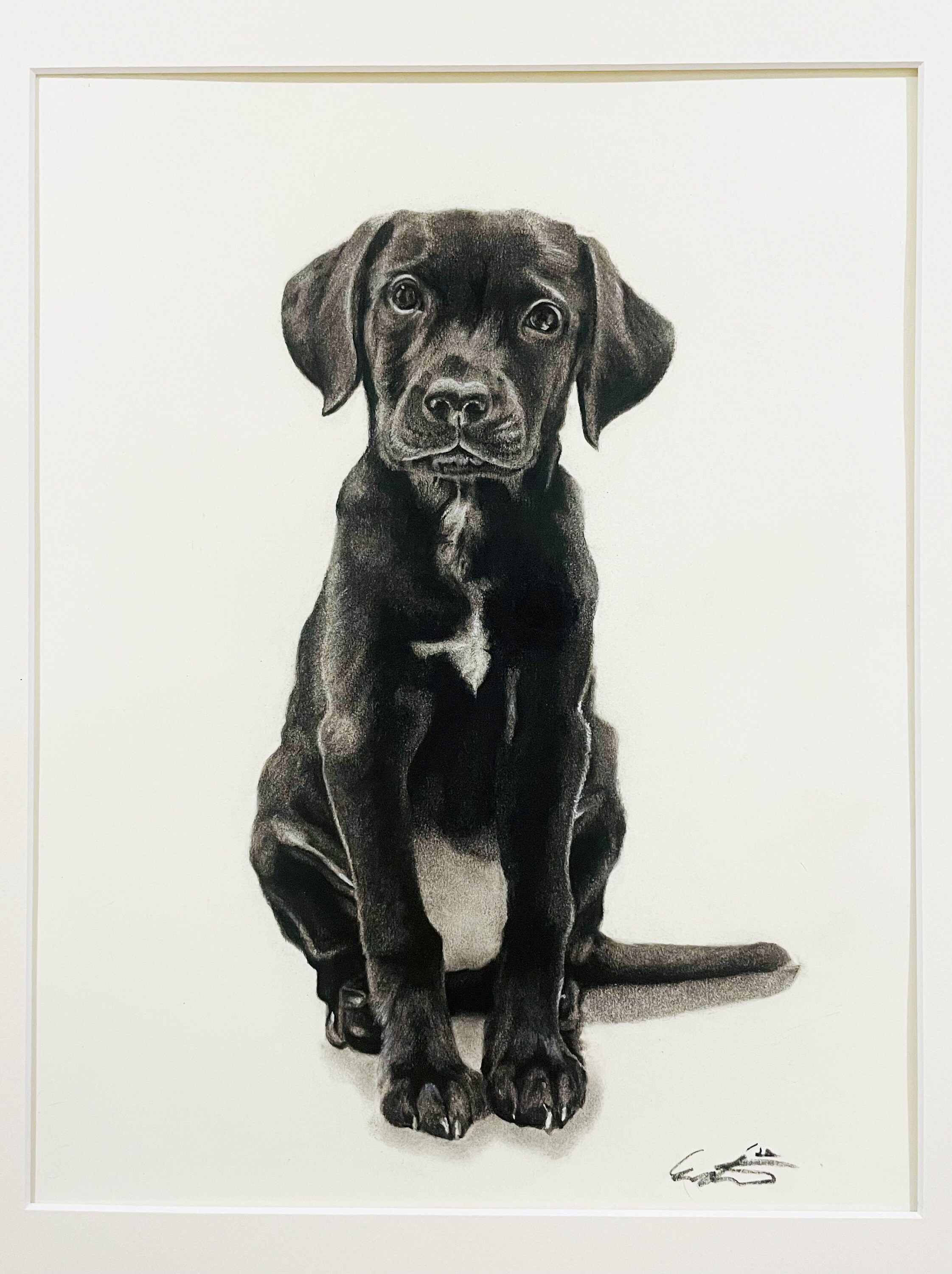 Dog Charcoal Drawing L Super Realistic Portrait 100% Custom Made - Etsy