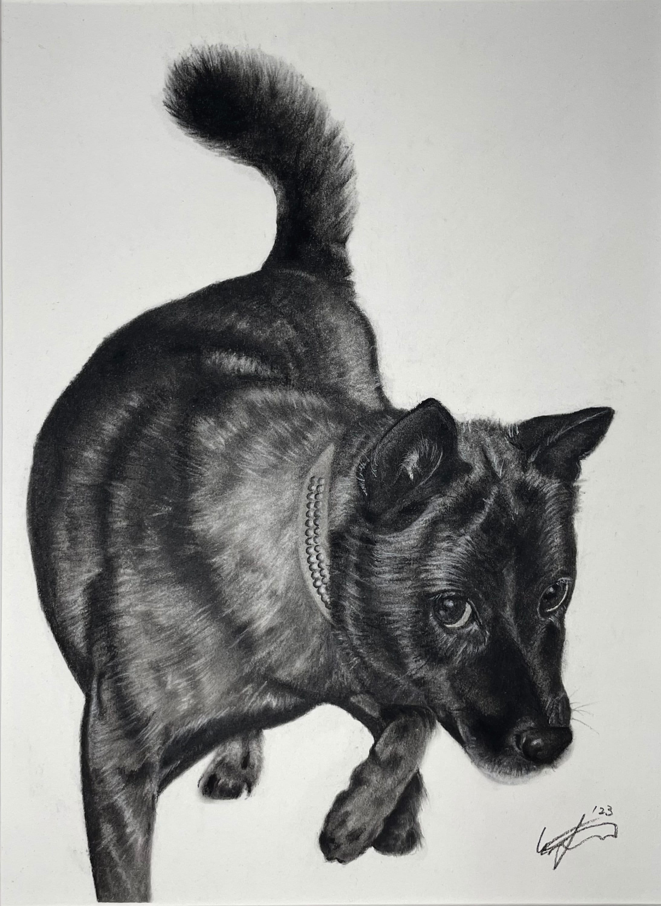 Dog Charcoal Drawing L Super Realistic Portrait 100% Custom Made - Etsy