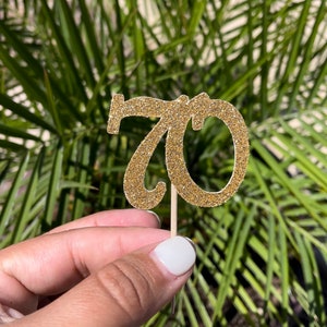 Glitter 70 Cupcake Toppers, 70 Topper, 70th Birthday Cake, 70 Birthday ...