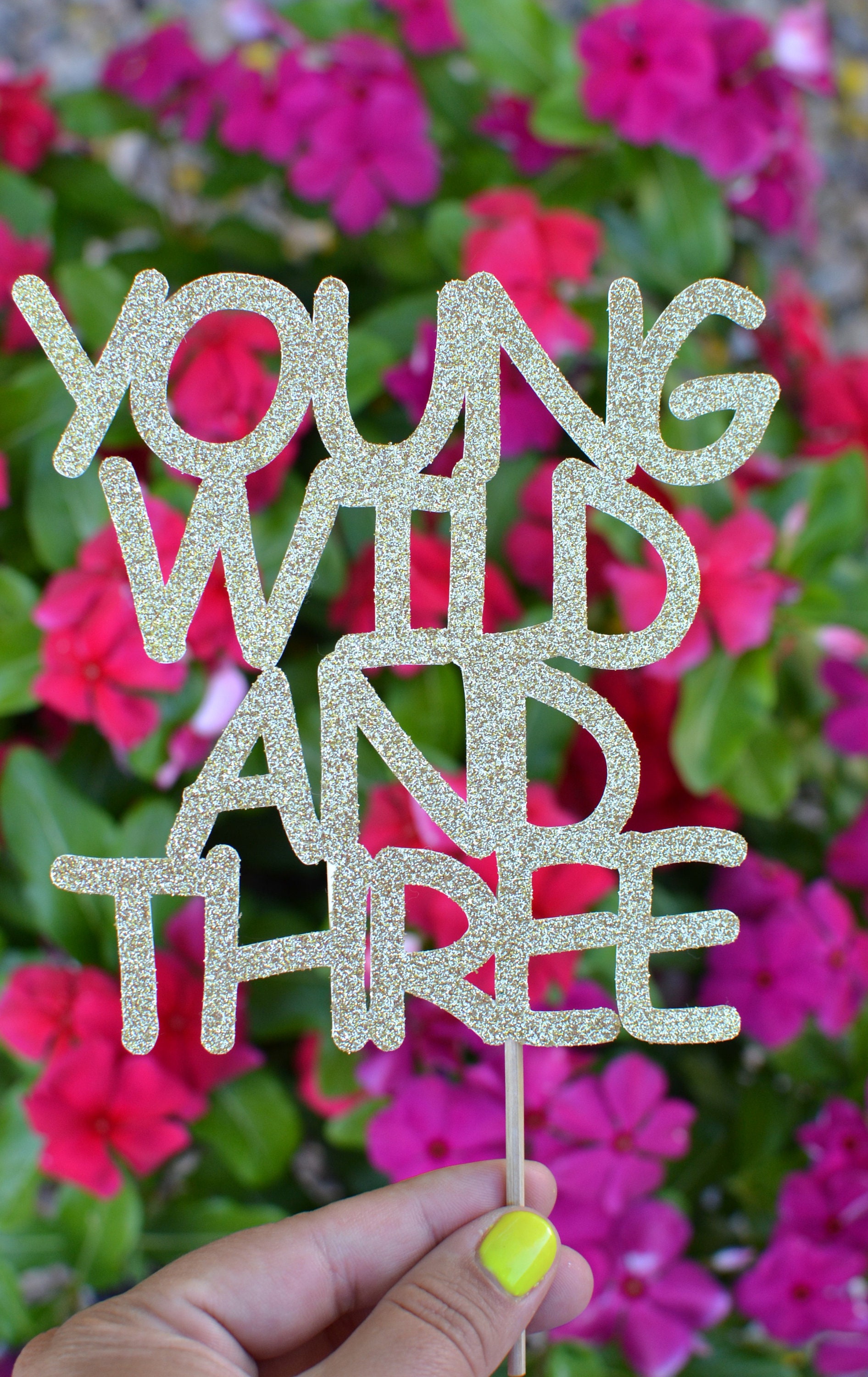 Young Wild and Three Topper 3rd birthday topper three cake | Etsy