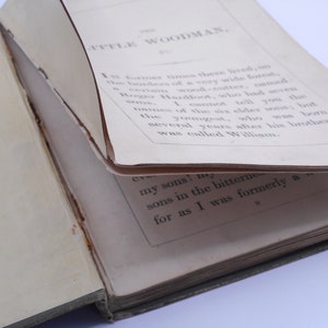 Antique Book From 1886 - the Little Woodman and His Dog Caesar by Mrs ...