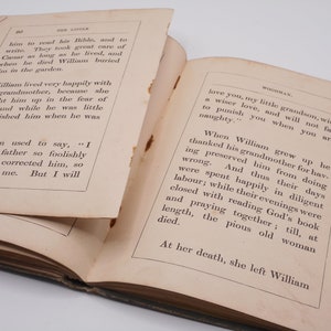 Antique Book From 1886 - the Little Woodman and His Dog Caesar by Mrs ...