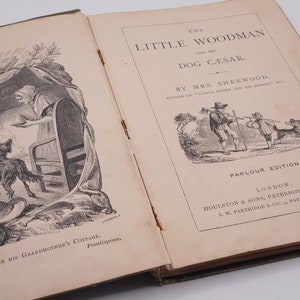 Antique Book From 1886 - the Little Woodman and His Dog Caesar by Mrs ...