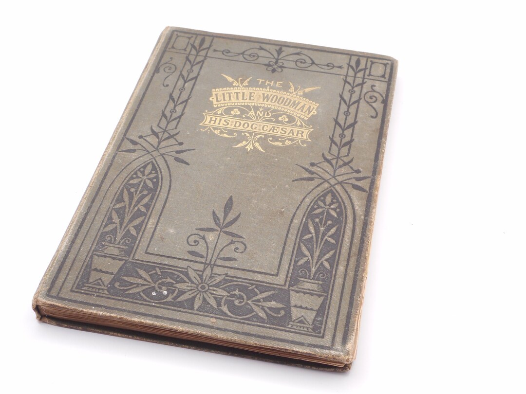 Antique Book From 1886 - the Little Woodman and His Dog Caesar by Mrs ...