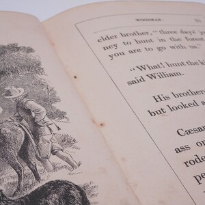 Antique Book From 1886 - the Little Woodman and His Dog Caesar by Mrs ...