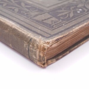 Antique Book From 1886 - the Little Woodman and His Dog Caesar by Mrs ...