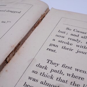 Antique Book From 1886 - the Little Woodman and His Dog Caesar by Mrs ...