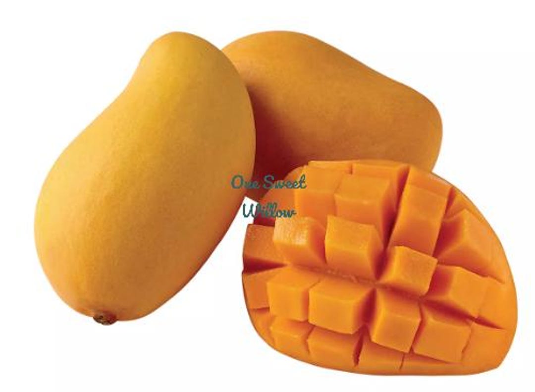 3 Sweet Fresh Small Ataulfo Mango - Etsy