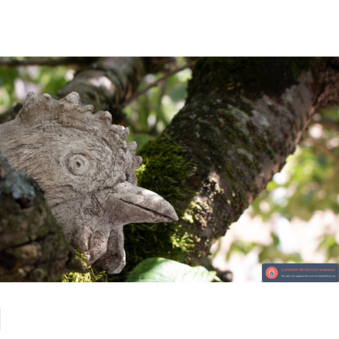 Bertie the Cockerel Head Stone Sculpture - Etsy