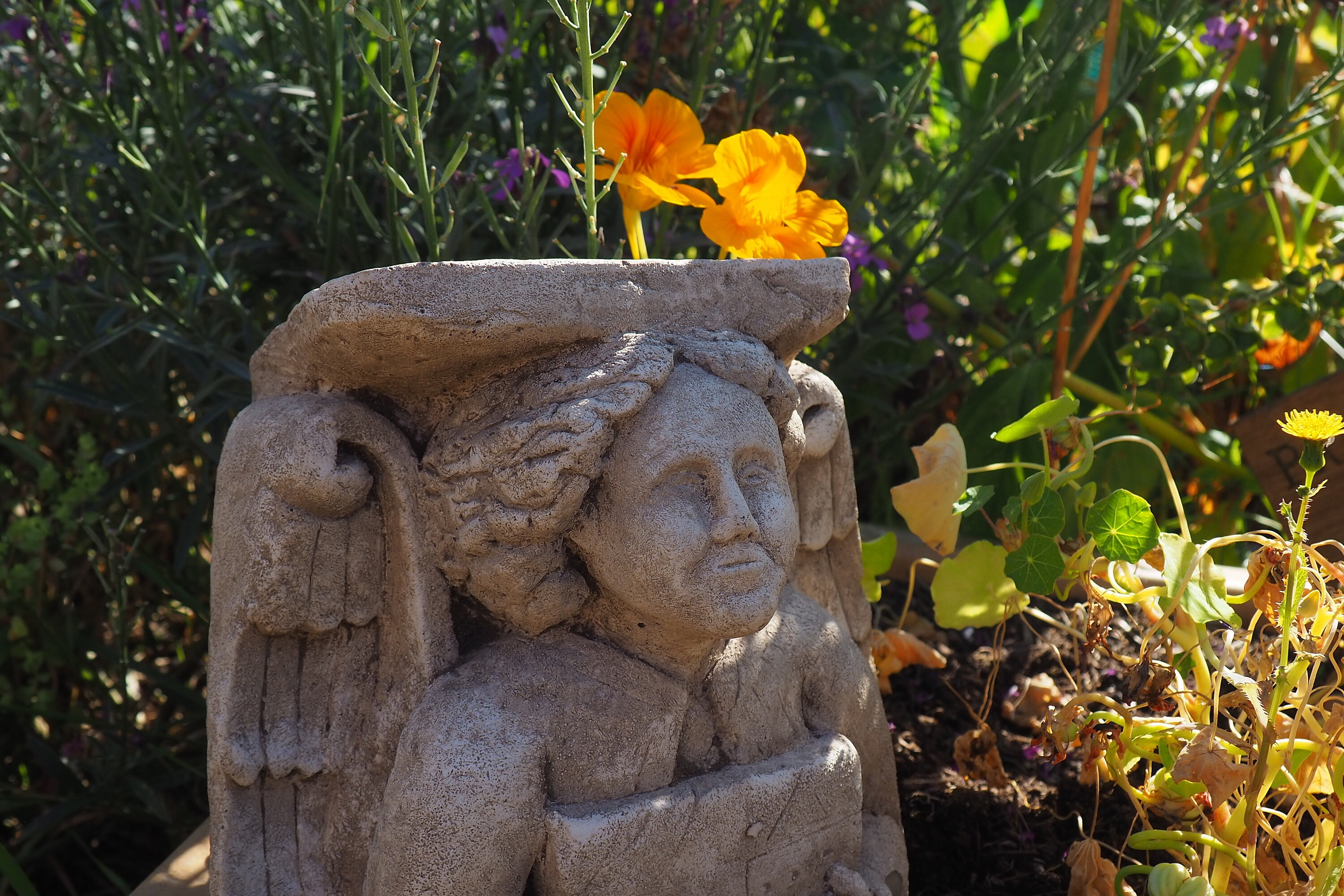 Angel Corbel Gothic Garden Decoration - Etsy UK