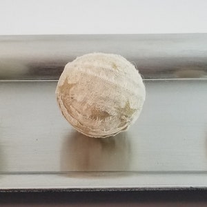Cream and Gold Decorative Balls Americana Bowl Fillers Cream - Etsy