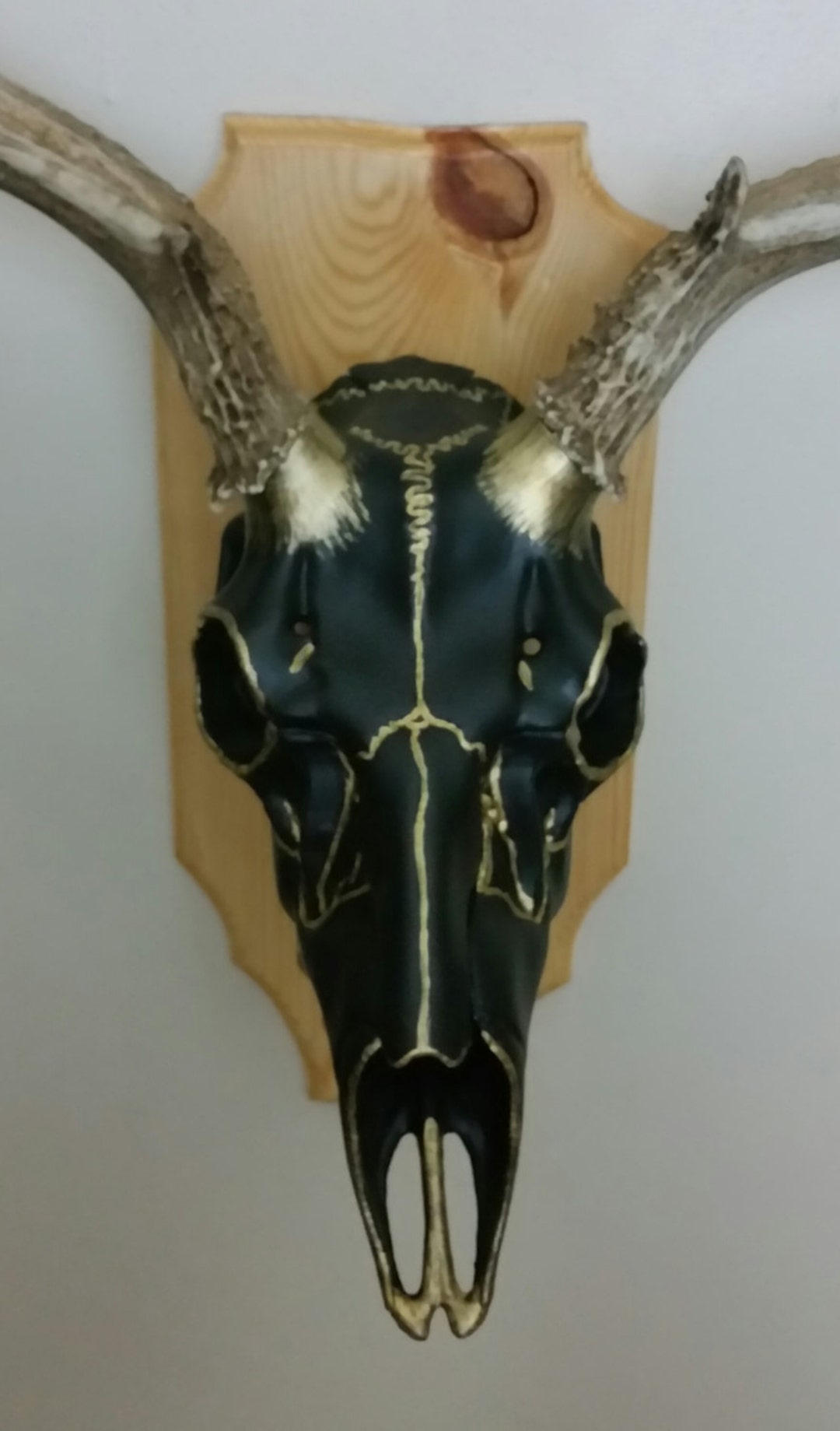 Hand-painted Replica Deer Skull for Mounting Mule Deer or Whitetail ...