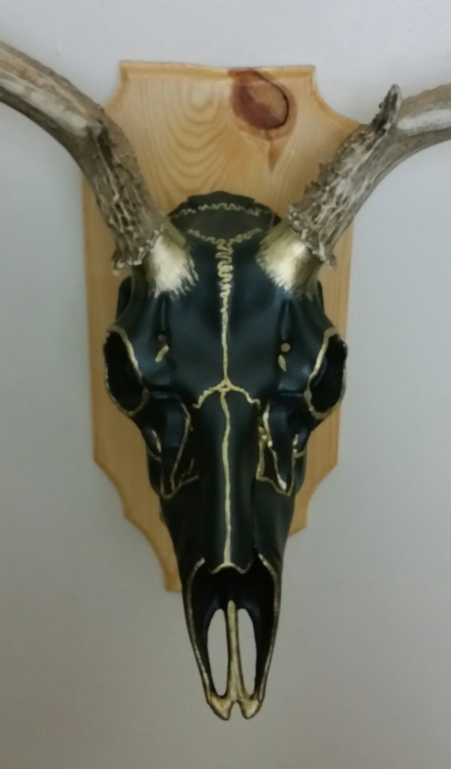 Hand-painted Replica Deer Skull for Mounting Mule Deer or Whitetail ...