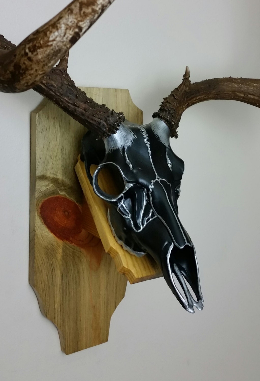 Hand-painted Replica Deer Skull for Mounting Mule Deer or Whitetail ...
