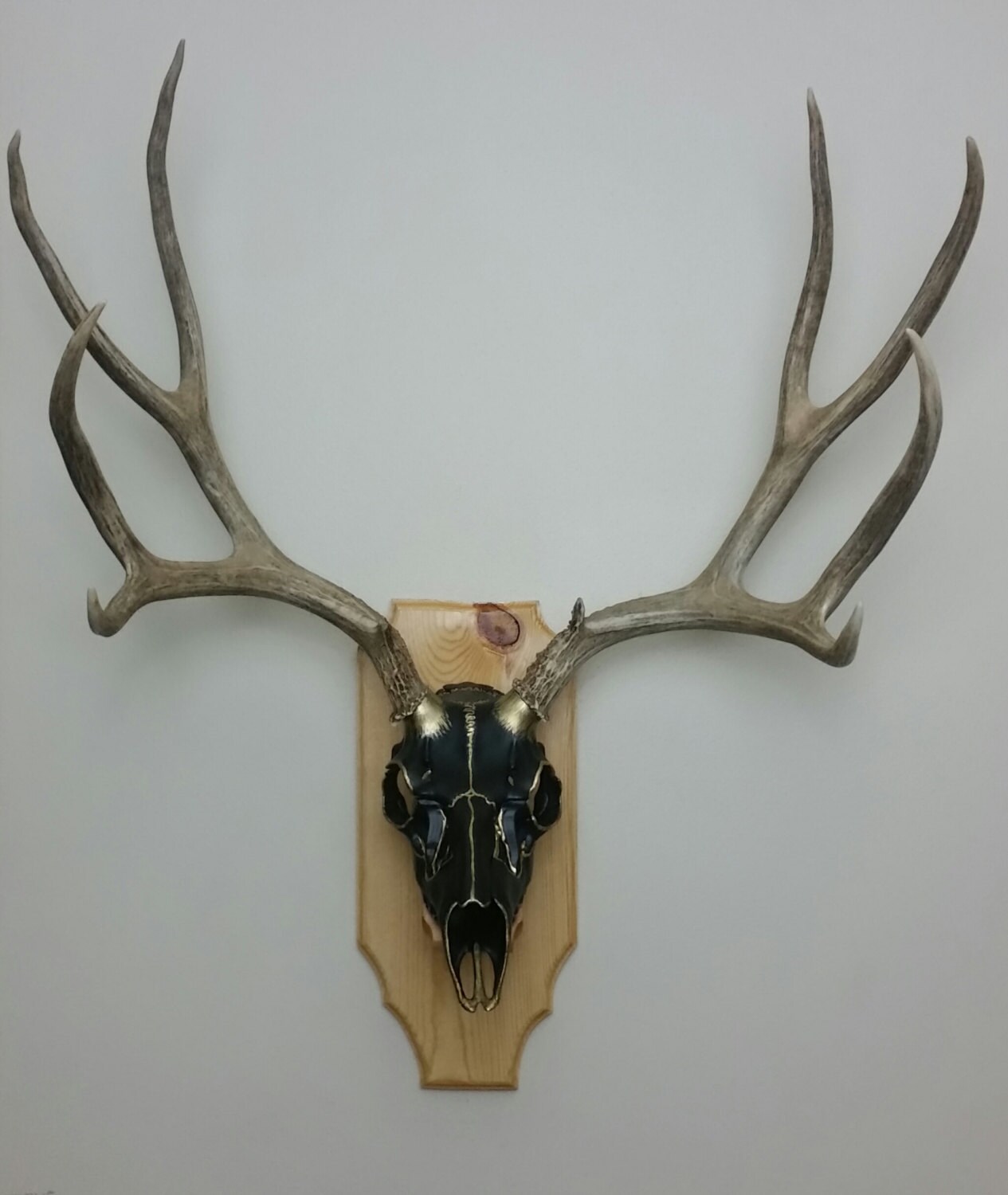 Hand-painted Replica Deer Skull for Mounting Mule Deer or Whitetail ...