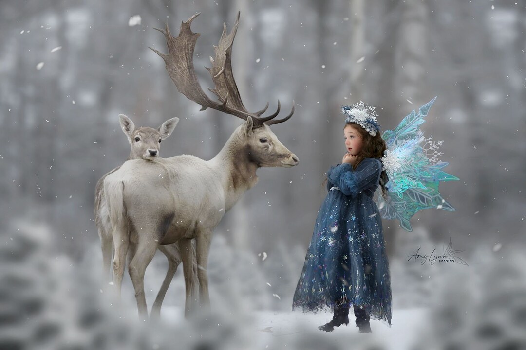 Snowflake Wings - Etsy