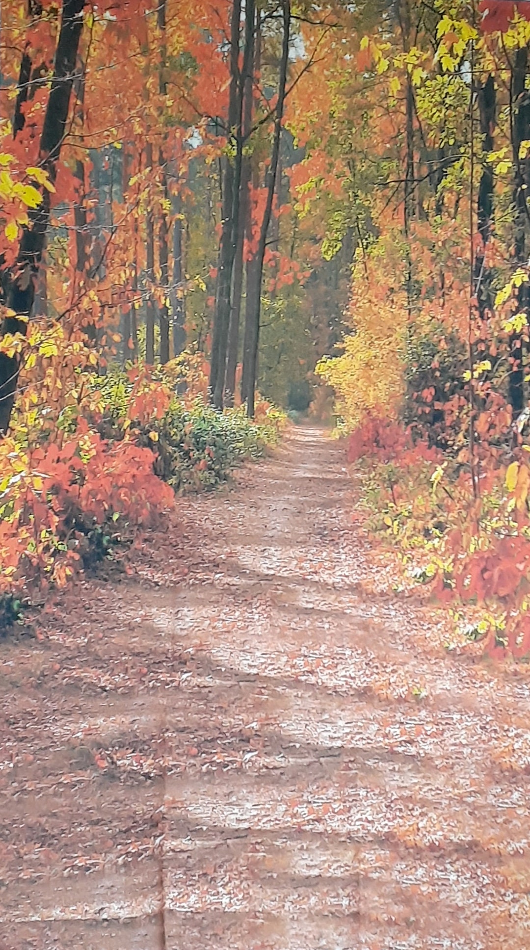 The Road Home Photography Backdrop. 3x5 Ft - Etsy