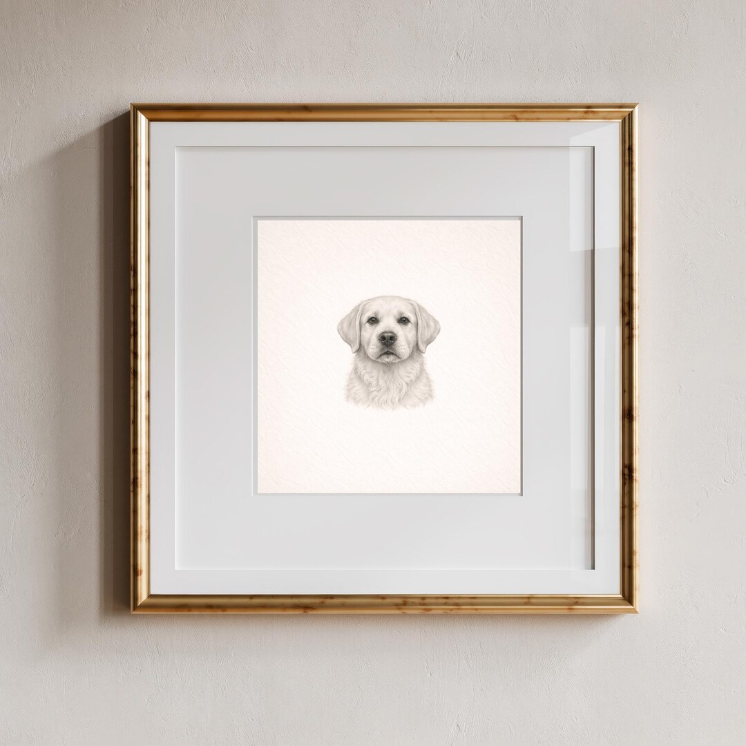 Labrador Retriever Dog Sketch Print | Vintage Lab Portrait | Minimal ...