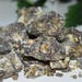 Benzoin Resin 1 Oz - Incense Resin - Etsy