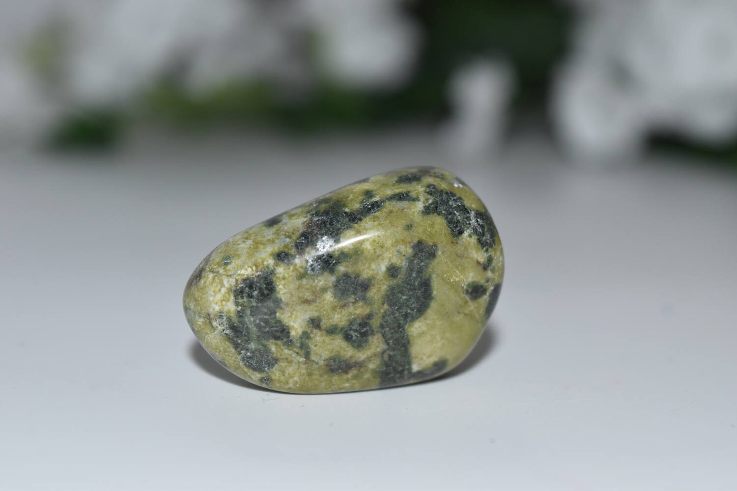 Nephrite Jade Tumbled 1 Pc Crystal Stone Rock Collection - Etsy