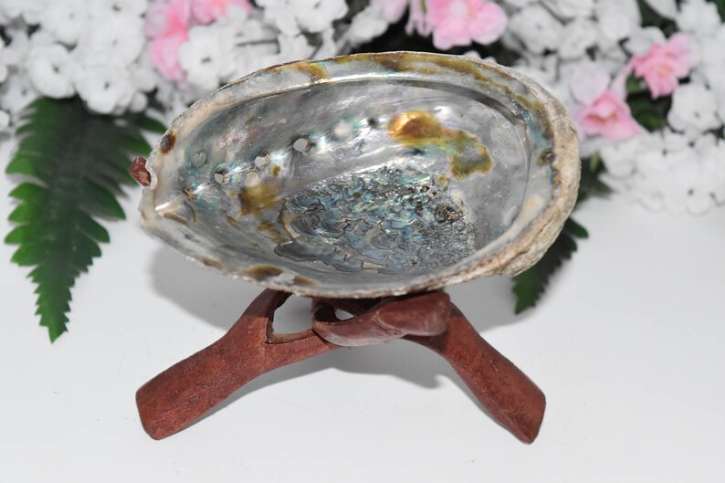 Abalone Shell With Handcarved Wood Stand - for Smudging, Blessings ...