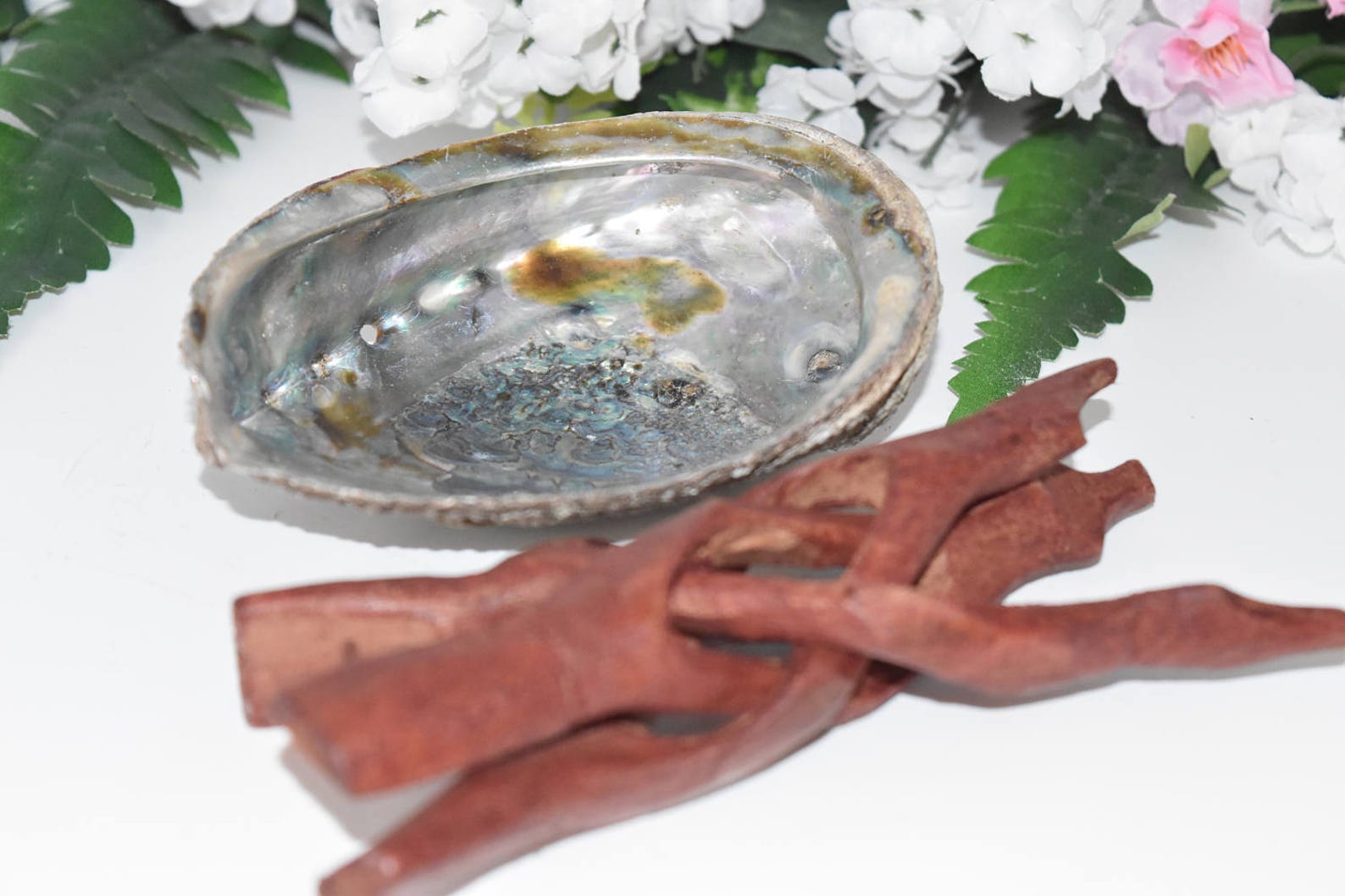 Abalone Shell With Handcarved Wood Stand - for Smudging, Blessings ...
