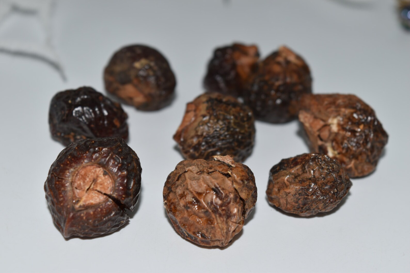 Soap Nuts 1 Oz Soap Berries Sapindus Mukorossi All - Etsy