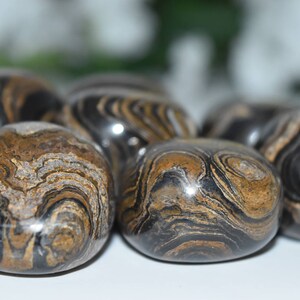 Stromatolite Tumbled 1 Pc -, Crystal, Stone, Rock Collection, Gemstone ...