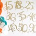 25th Birthday Party Ideas, Number "25" Cake Topper, Birthday ...