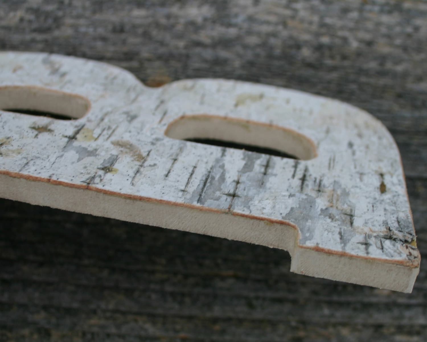 Real Birch Bark Letter wedding Decor Personalized Letter | Etsy