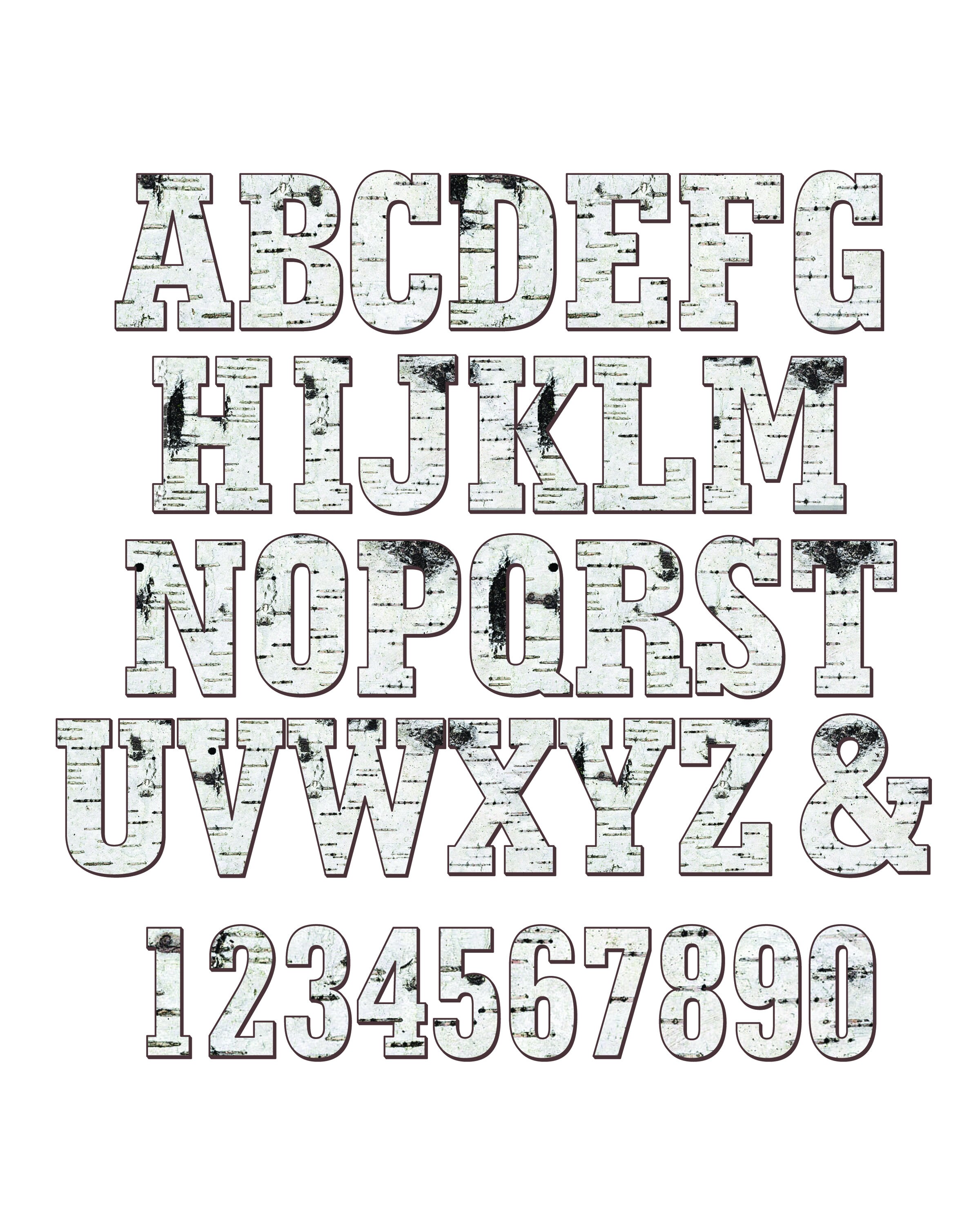 Real Birch Bark Letter wedding Decor Personalized Letter | Etsy