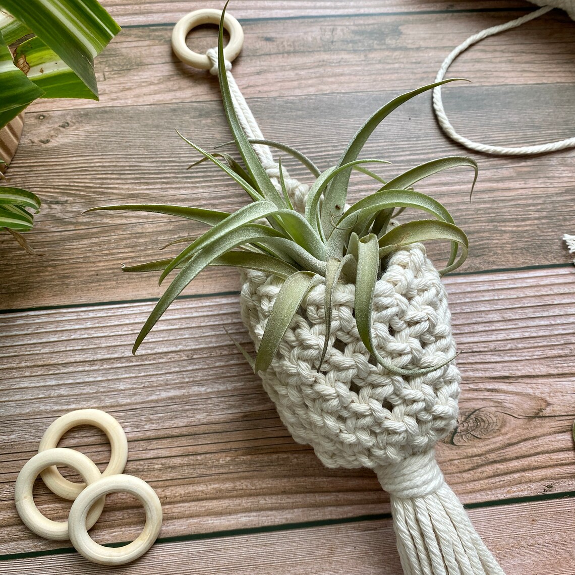 Macrame Pod/air Plant Wall Hanger - Macrame Pod Plant Hanging, Decor ...