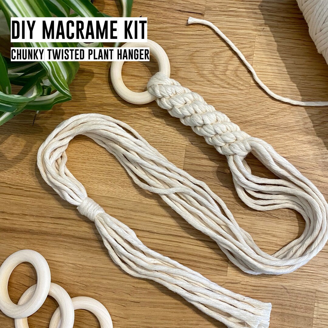 DIY Macrame Plant Hanger Craft Kit Beginners Boho Twisted Plant Wall ...