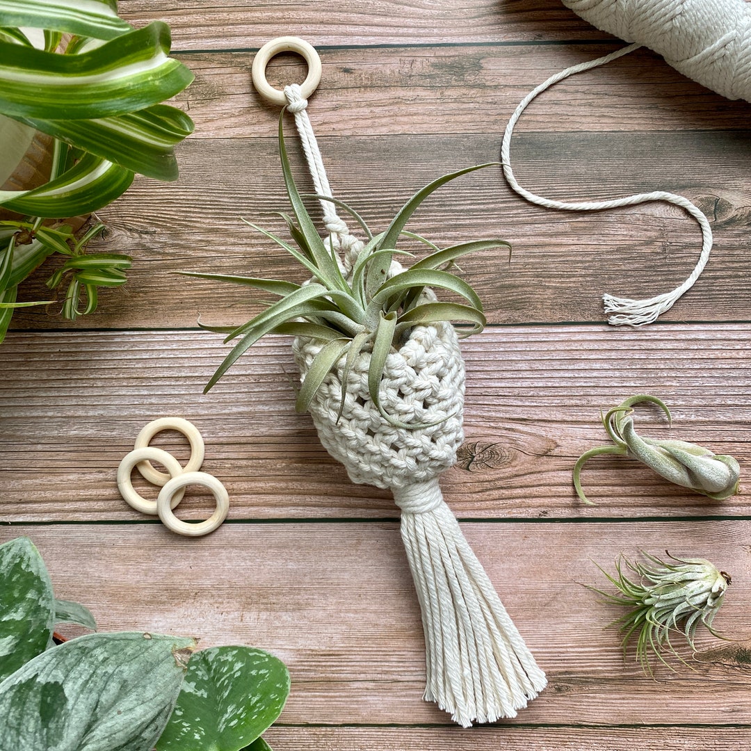 Macrame Pod/air Plant Wall Hanger Macrame Pod Plant Hanging, Decor for ...